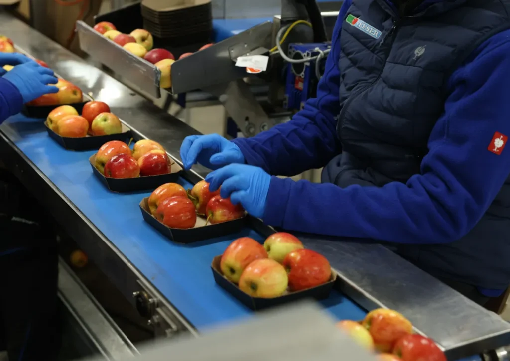 Obstgroßmarkt Veeser – Qualität, die man schmeckt